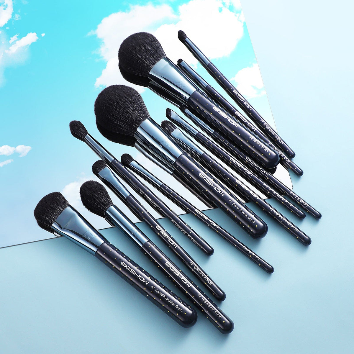 ZODIAC SERIES - 12 PCS PROFESSIONAL MAKEUP BRUSH KIT – EIGSHOW Beauty